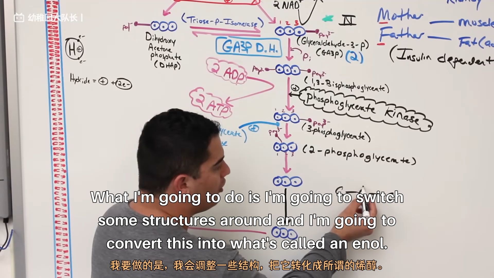 【公开课】新陈代谢 Metabolism (中英字幕) | Ninja Nerd-幼稚园大队长丨-幼稚园大队长丨-哔哩哔哩视频