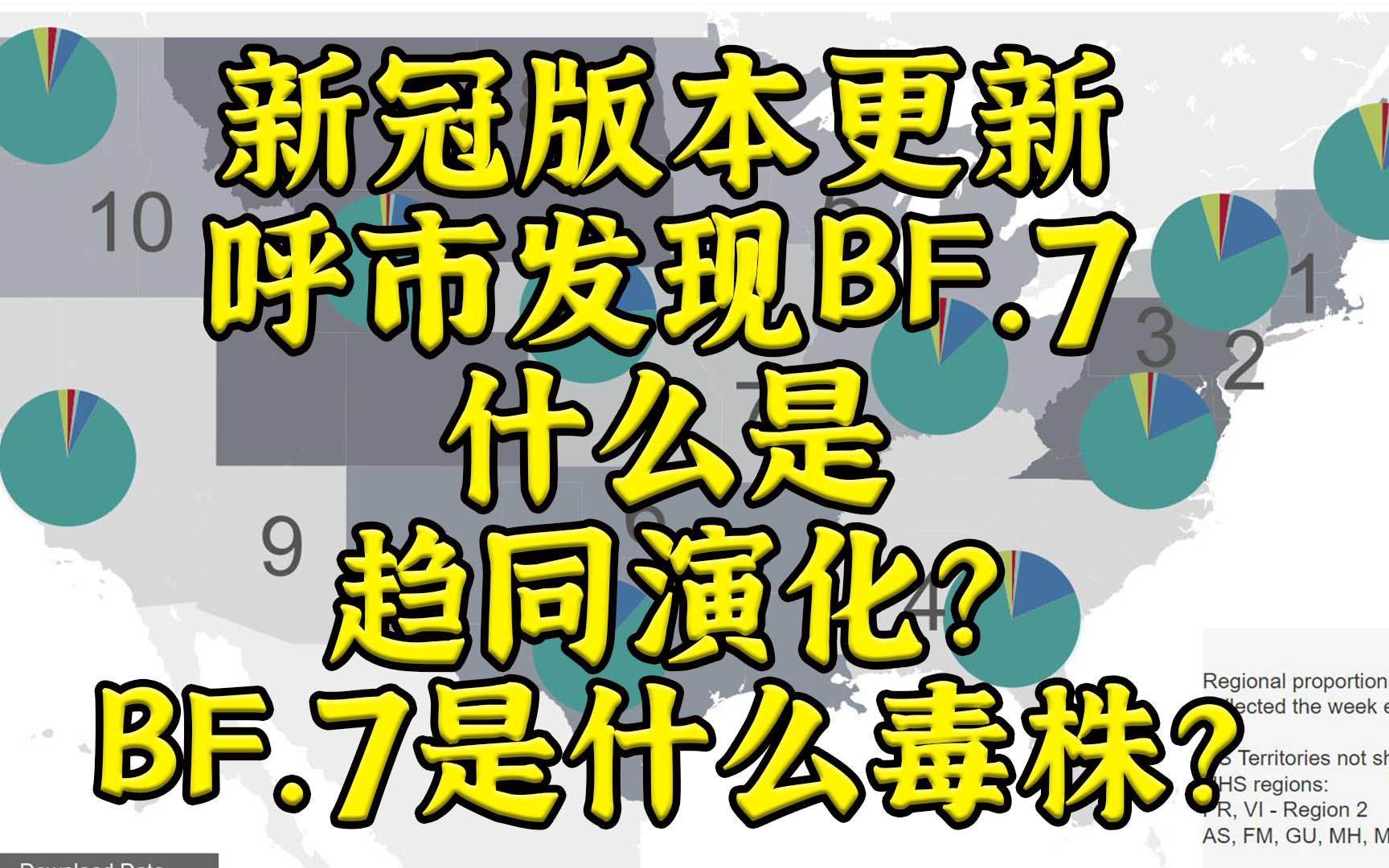 新冠版本更新：呼市发现BF.7是什么毒株？-波士顿圆脸-波士顿圆脸-哔哩哔哩视频