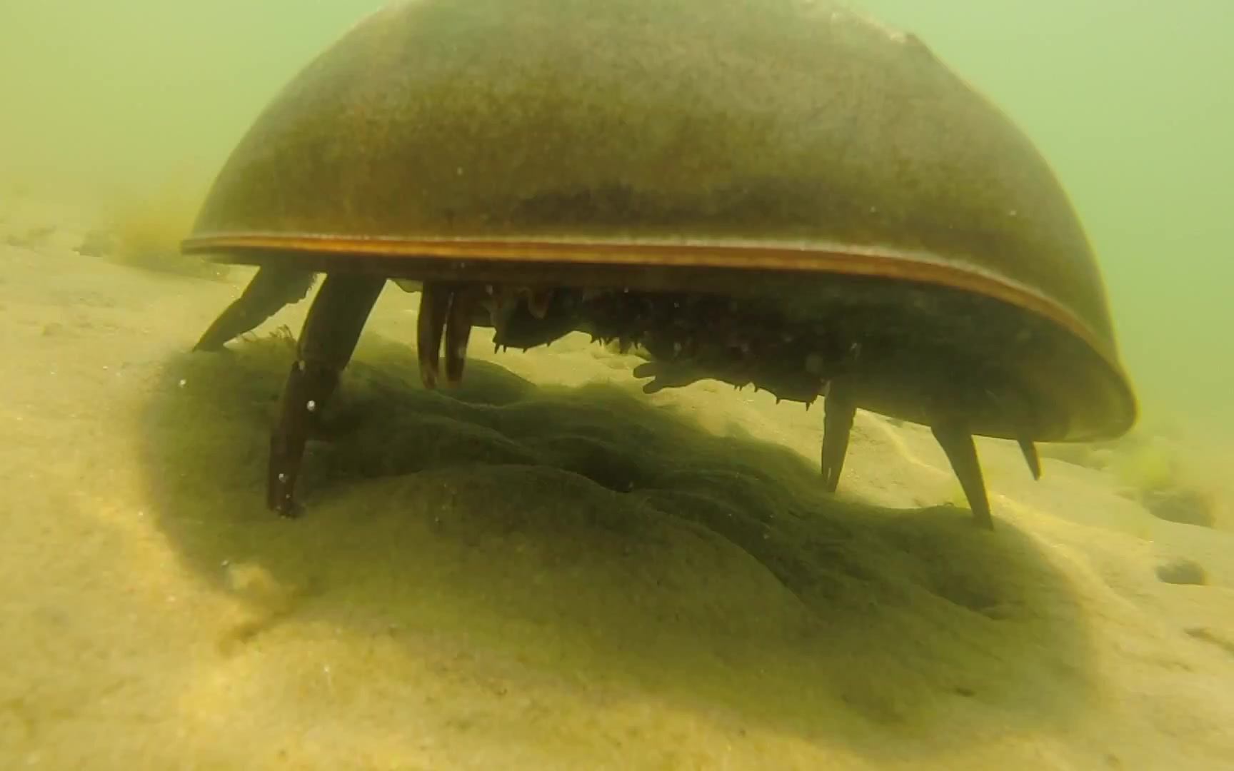 eipril新作来了！！！