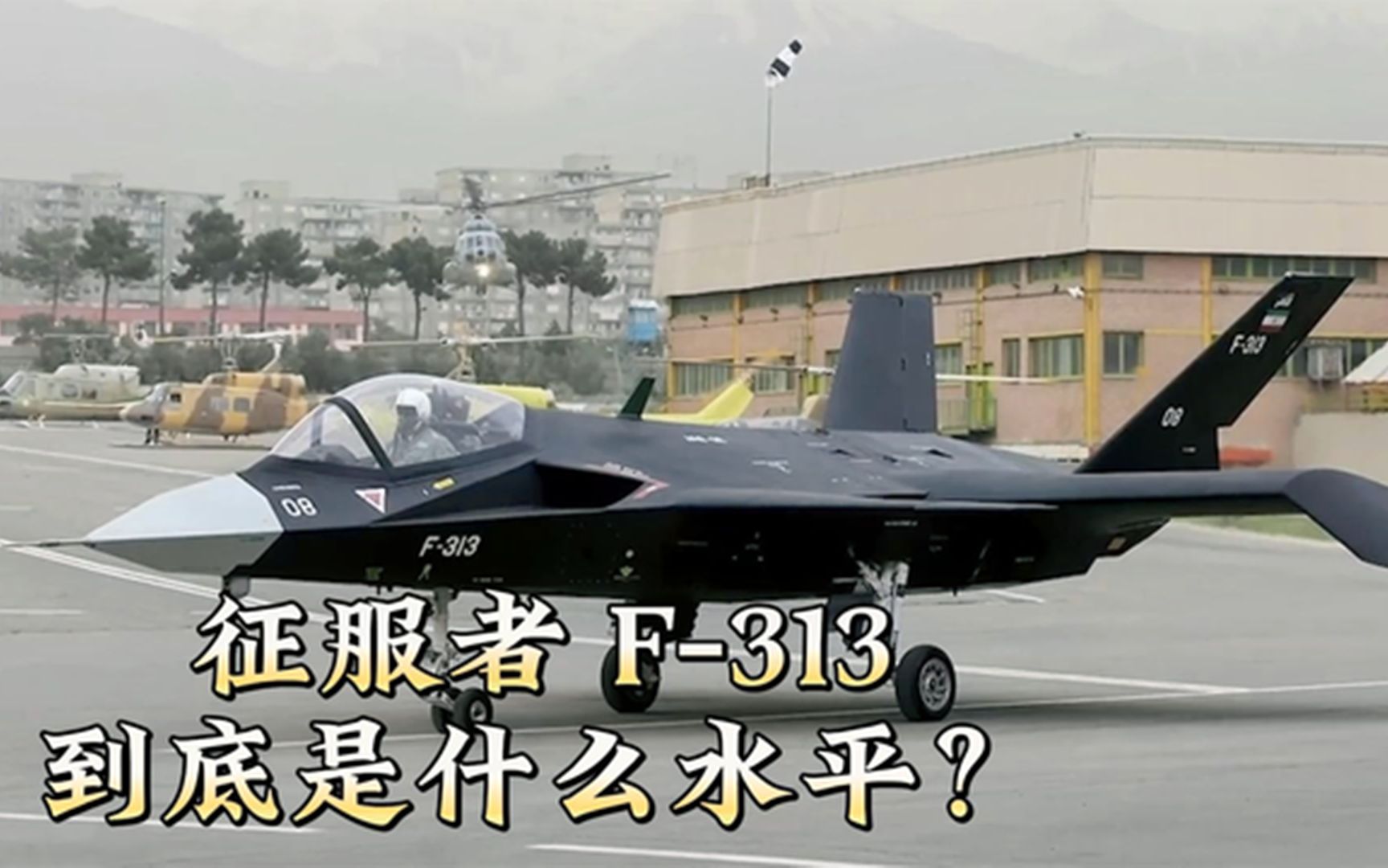 为什么说F-313连三代半也算不上呢？啥也没有怎么搞五代机。-账号已注销-账号已注销-哔哩哔哩视频