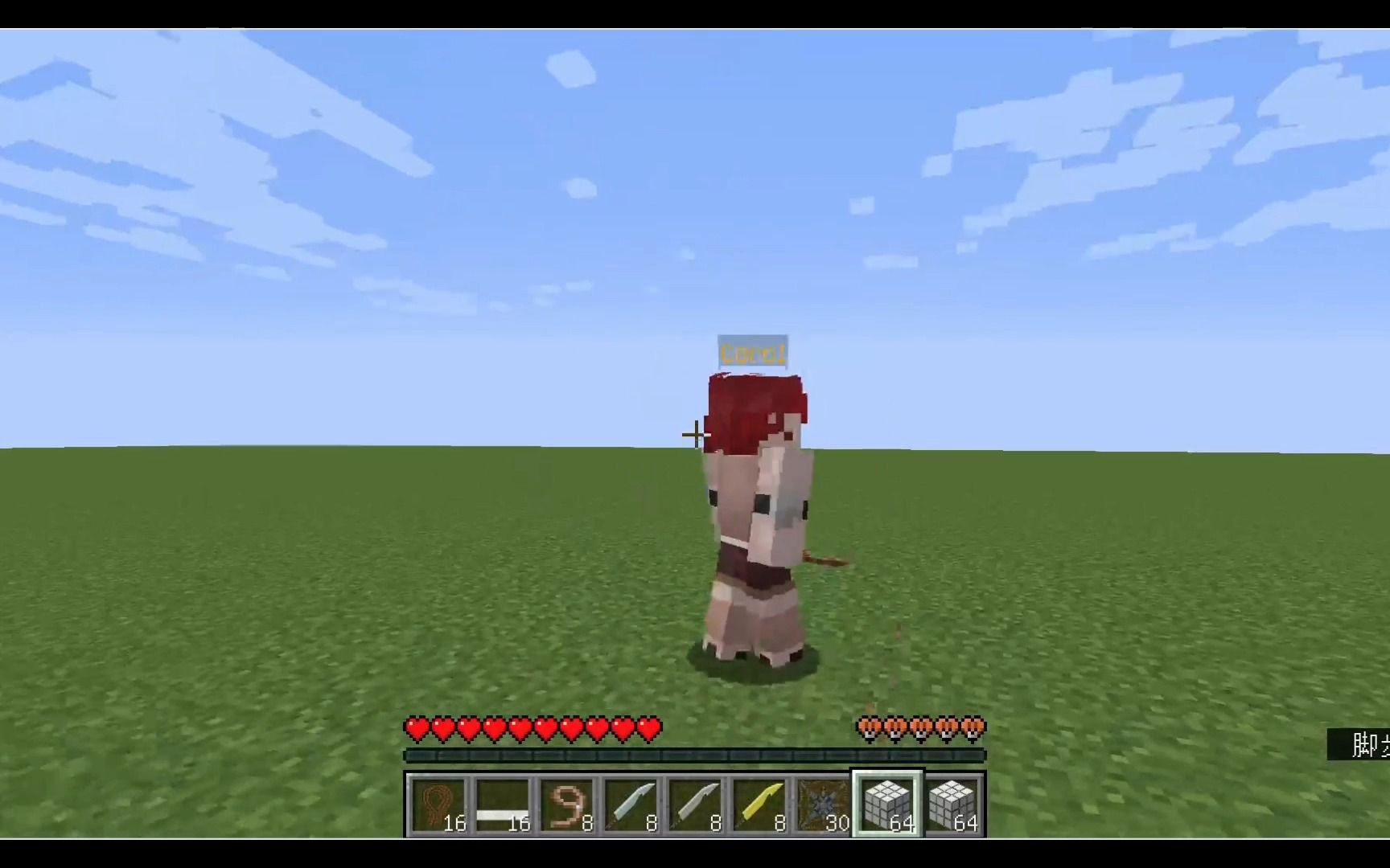 Minecraft Didnapper Mod 自制整合包