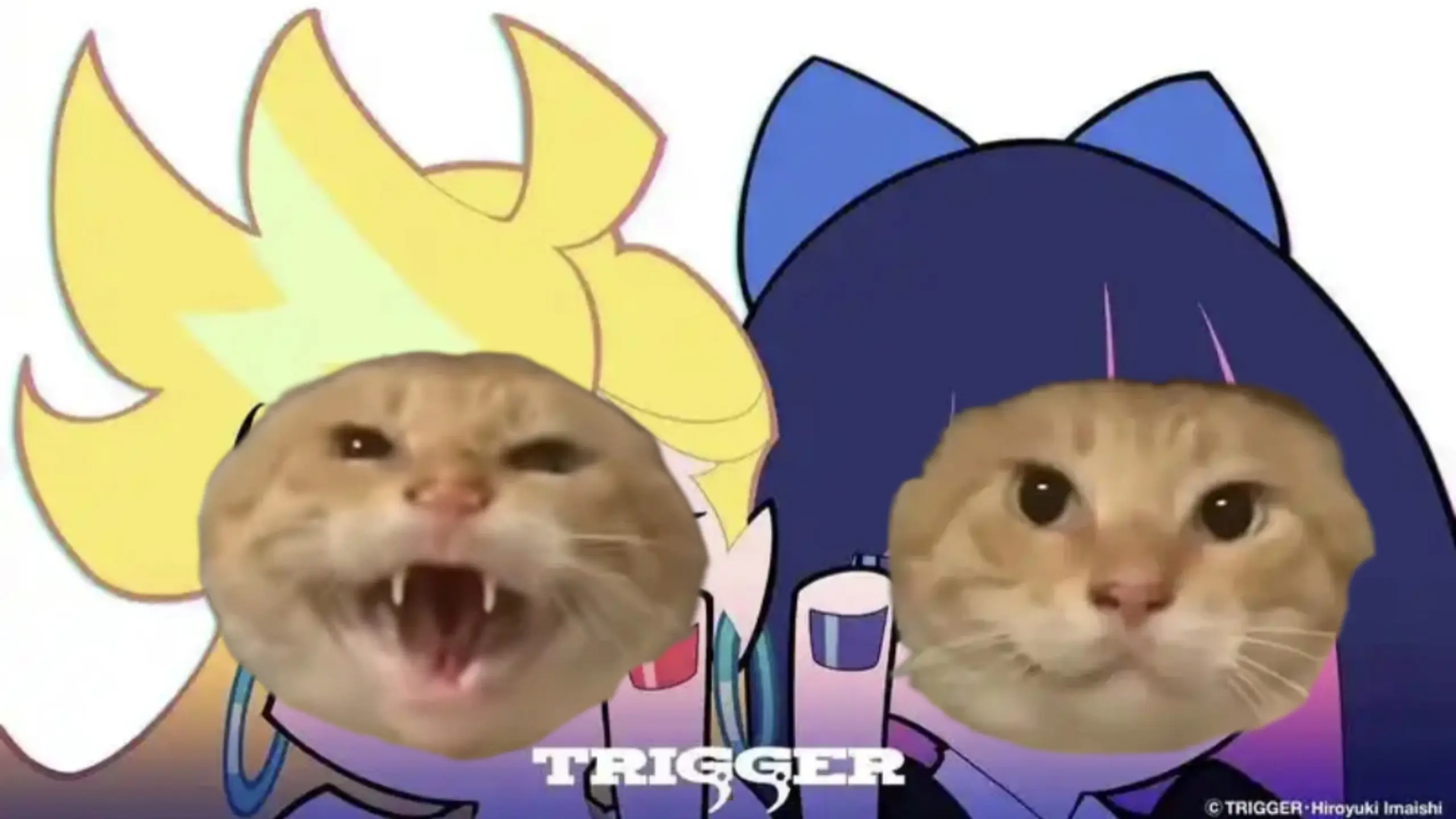 【哈基米】吊带一段天国使《Fly Hajimi》（吊带袜天使《fly away》）_哔哩哔哩_bilibili