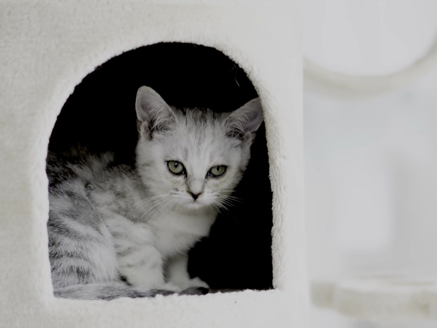 dolby test-Koppy丶-Koppy丶-哔哩哔哩视频