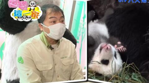 Chanyeol Ferret Club