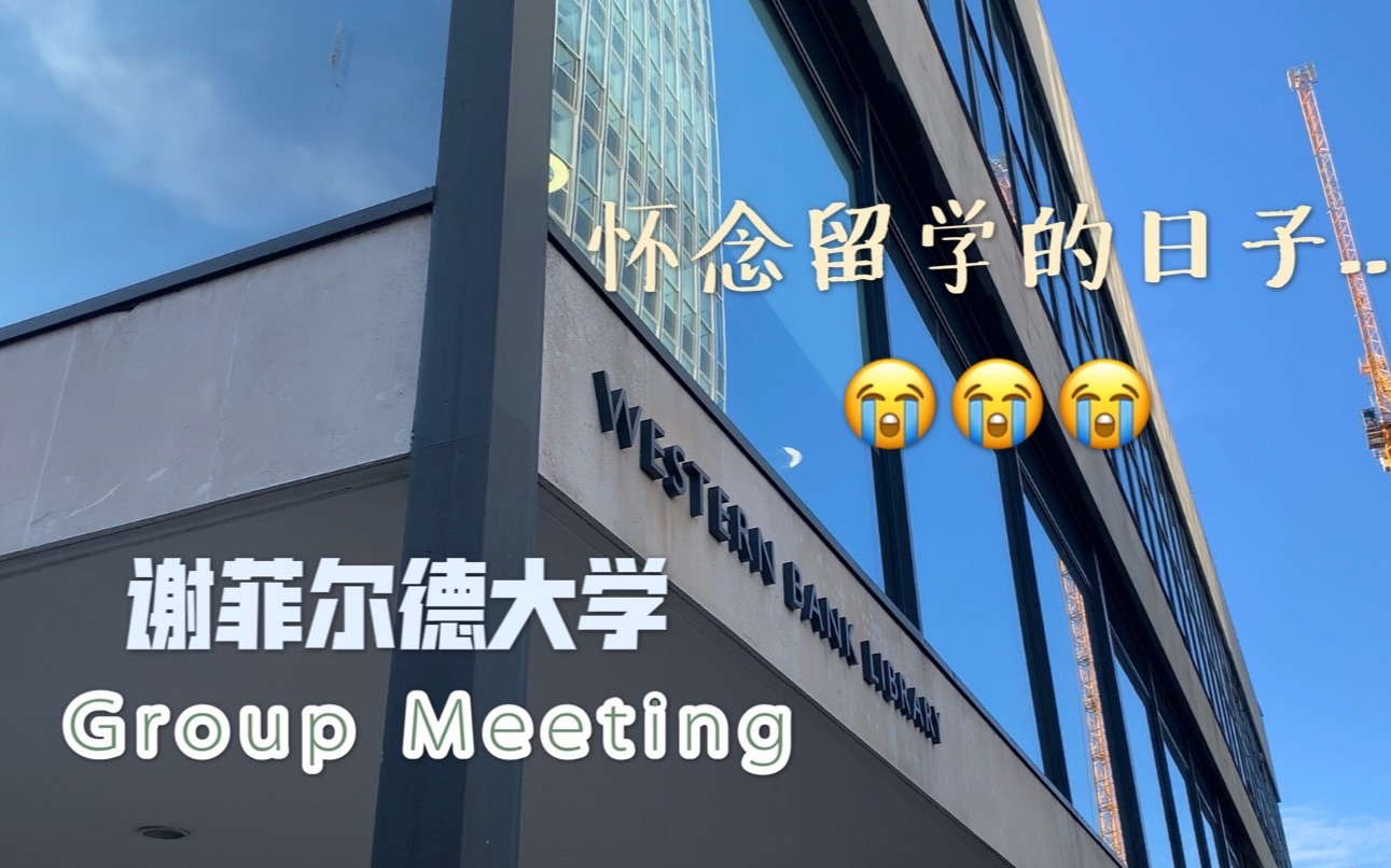 【英国留学】Western Bank Library | 记一次小组讨论 | 谢菲尔德大学图书馆_哔哩哔哩_bilibili