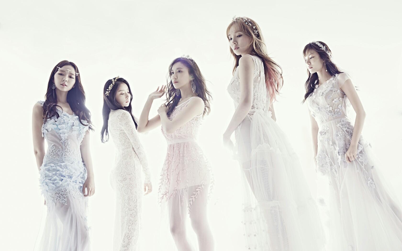 STELLAR V直播_哔哩哔哩_bilibili