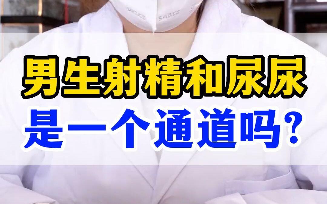 射精和尿尿,是一个通道吗? 哔哩哔哩