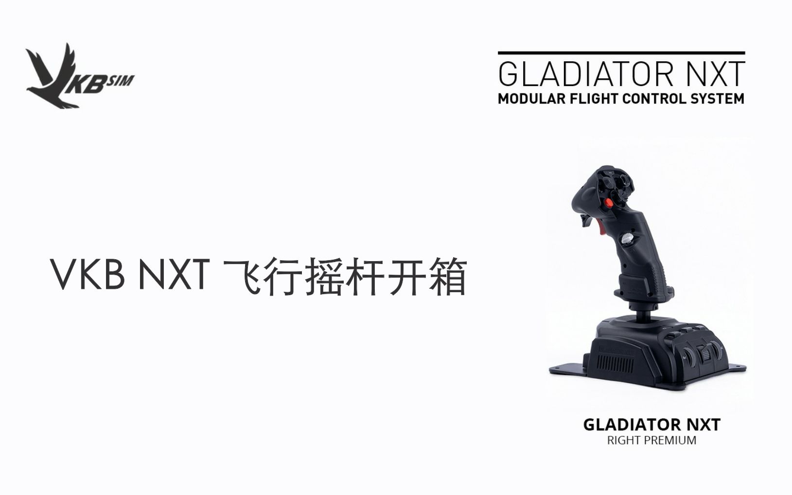 VKB Sim Gladiator NXT / 快速开始