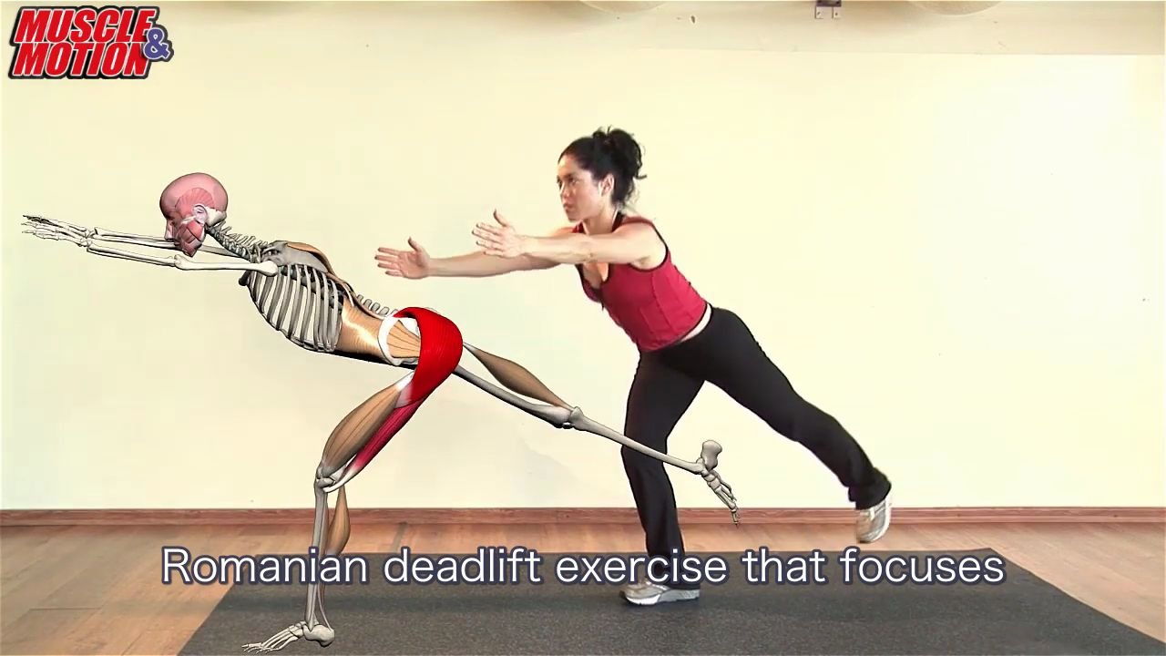 Single Leg Hip Hinge Bodyweight_哔哩哔哩_bilibili