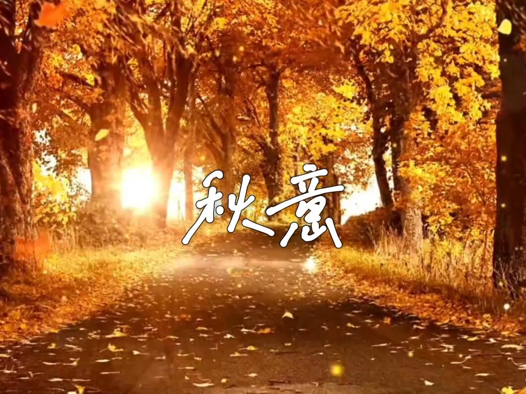 原创RAP《秋意》｜从念夏到爱秋，把季节的故事唱给你听 - 哔哩哔哩