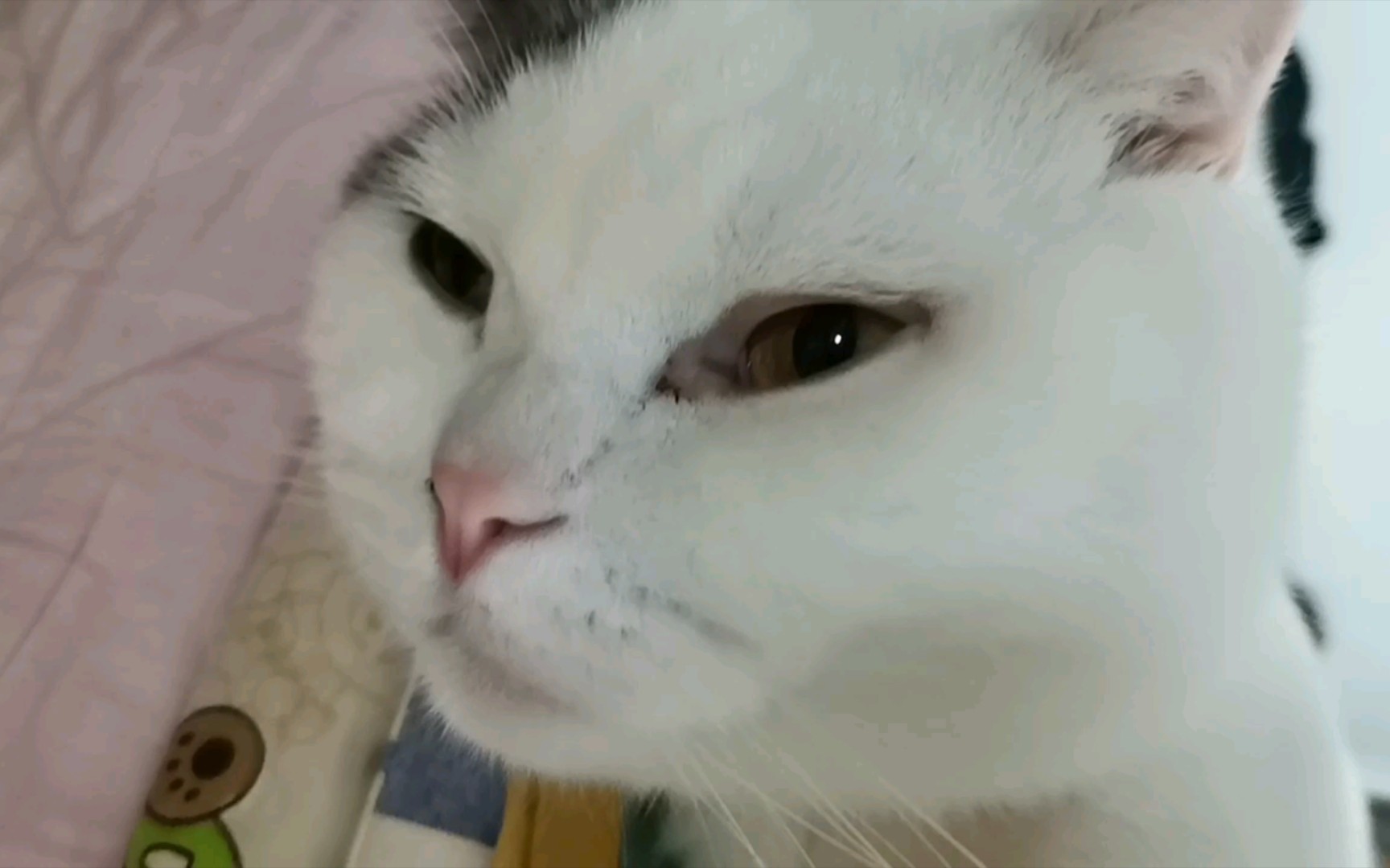 困_哔哩哔哩_bilibili