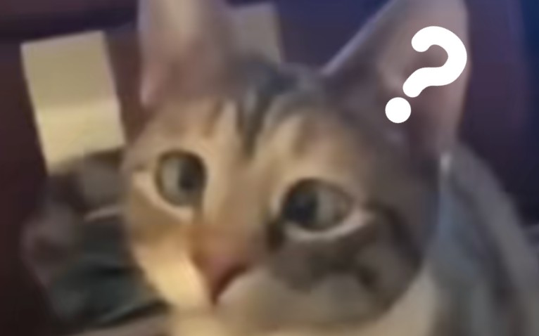 来点猫猫memememememe！-陆逸叁叁-陆逸叁叁-哔哩哔哩视频