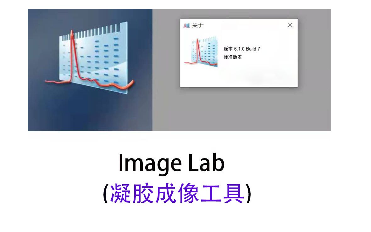 Image-Lab 6.1 WIN版 图像采集和分析 下载安装教程，零基础也能学会