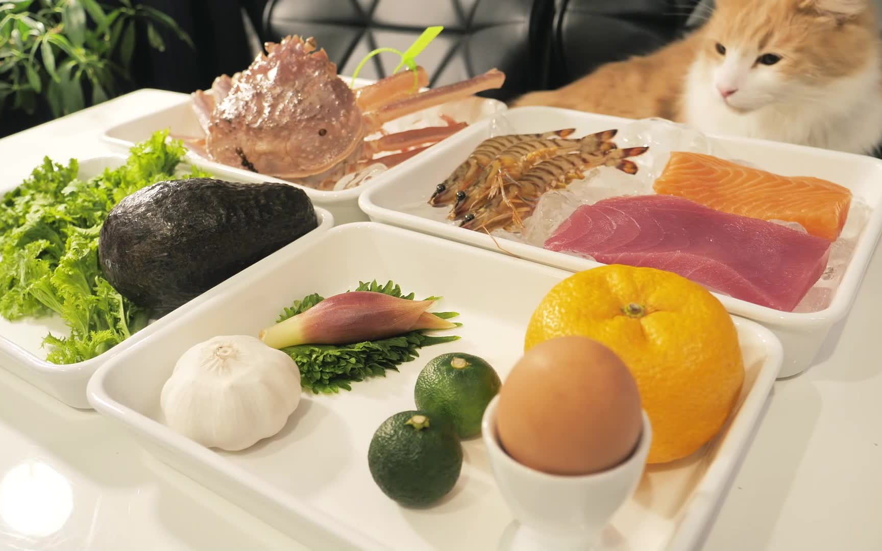 【JunsKitchen】制作美式寿司 60帧高清 CC字幕_哔哩哔哩_bilibili