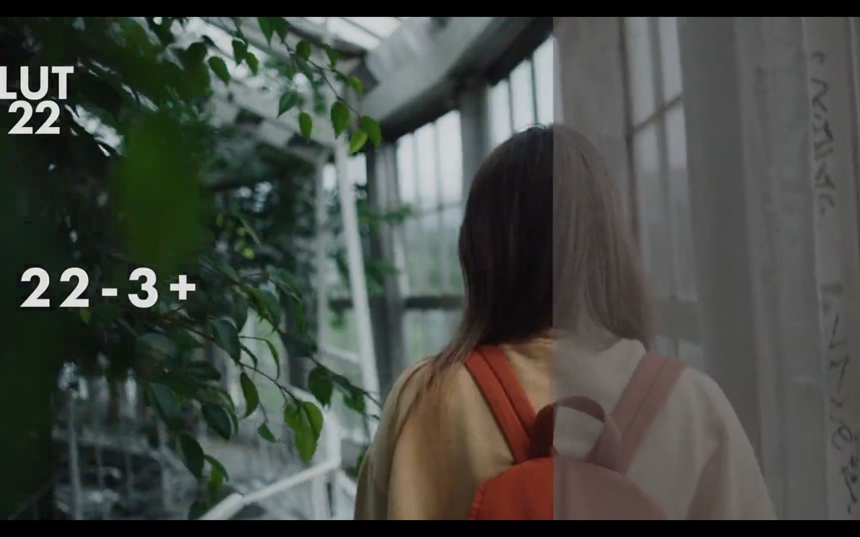 BMPCC 4k6k风格化高级电影感lut调色预设 Roman Hense LUTs - 视频下载 Video Downloader