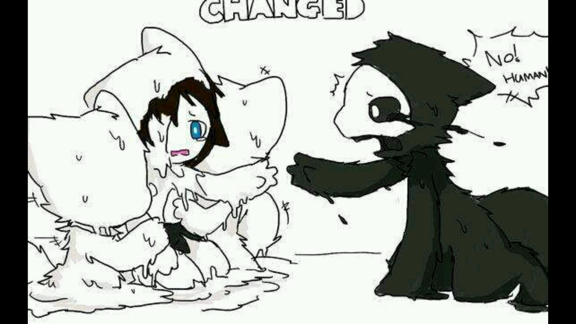 changed19 - 视频下载 Video Downloader