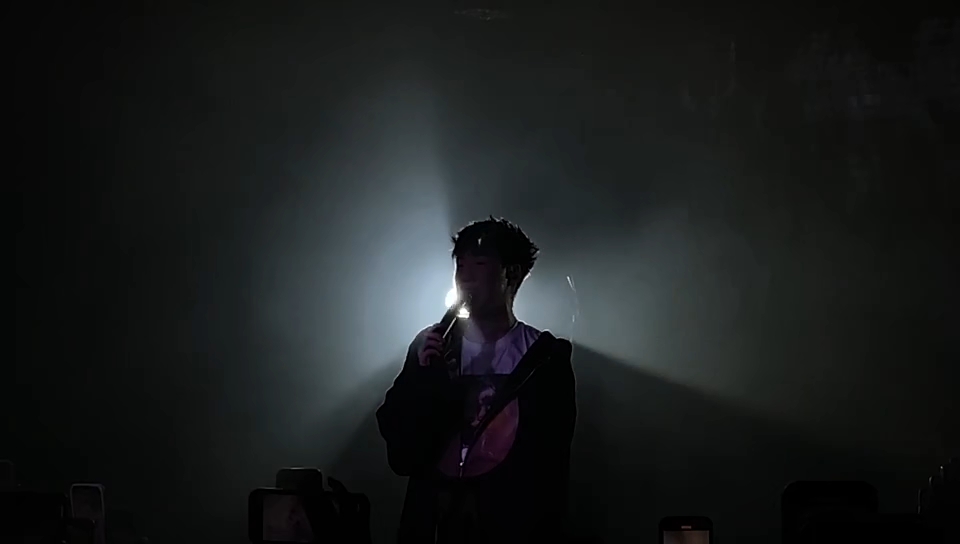 【capper】五百二十赫兹 初版-美丽橘色美短虎斑猫-capper-哔哩哔哩视频