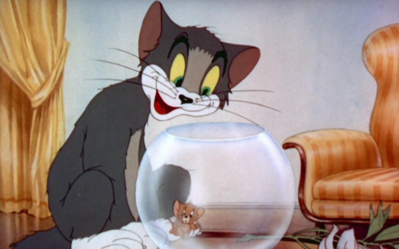 猫和老鼠 Puss N' Toots（猫儿心上人）-Tom-China-Tom-China-哔哩哔哩视频