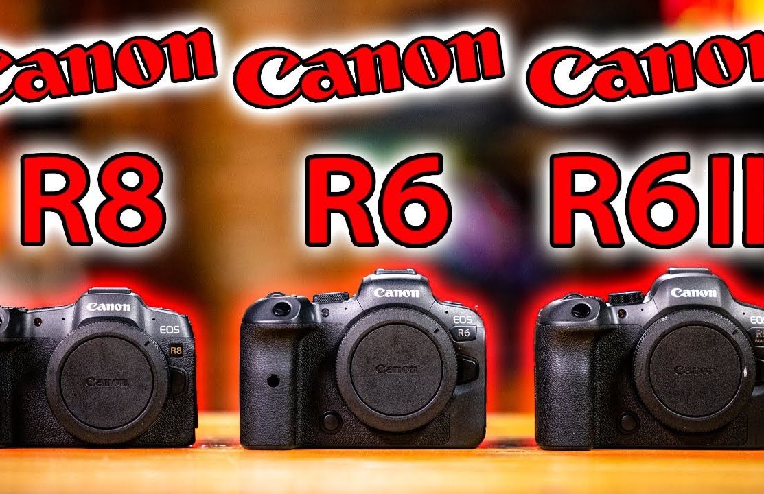 佳能R8 vs R62 vs R6｜哪台相机才是最适合你购买的？-1080P 高清-AVC-大白梨致精微-大白梨致精微-哔哩哔哩视频