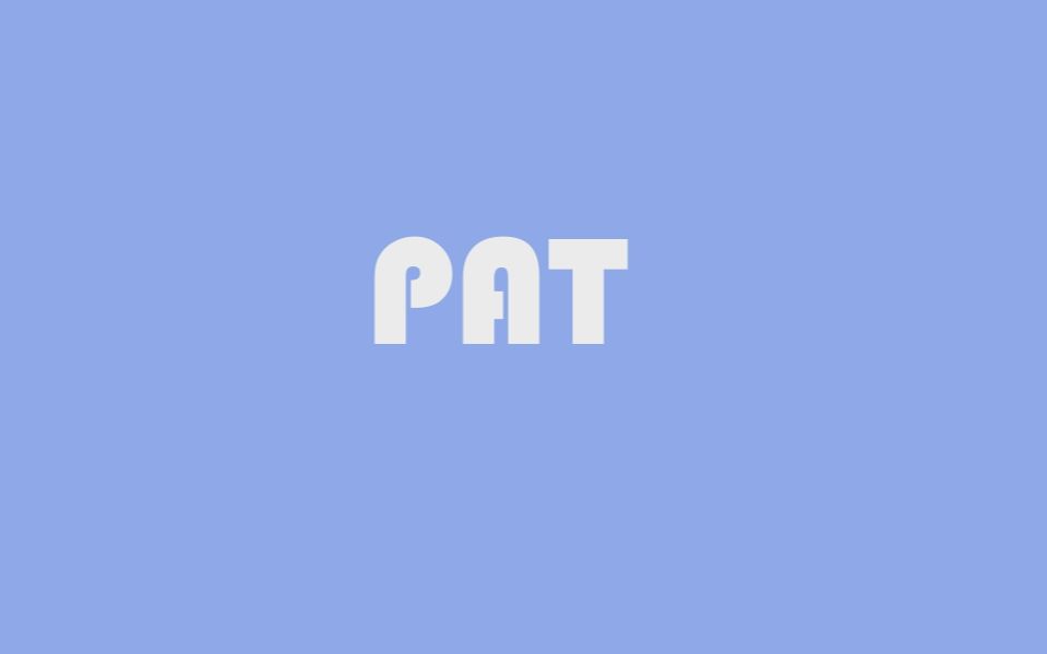 PAT——IT界的托福【面向信息技术的沟通技巧】_哔哩哔哩_bilibili