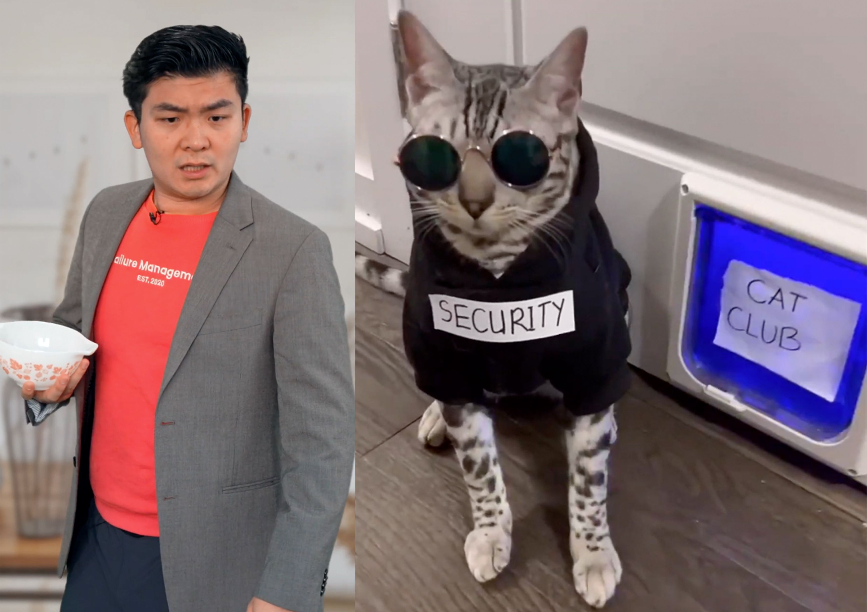 当你家猫咪是生意天才【Steven He】-Steven_He官方账号-Steven_He官方账号-哔哩哔哩视频