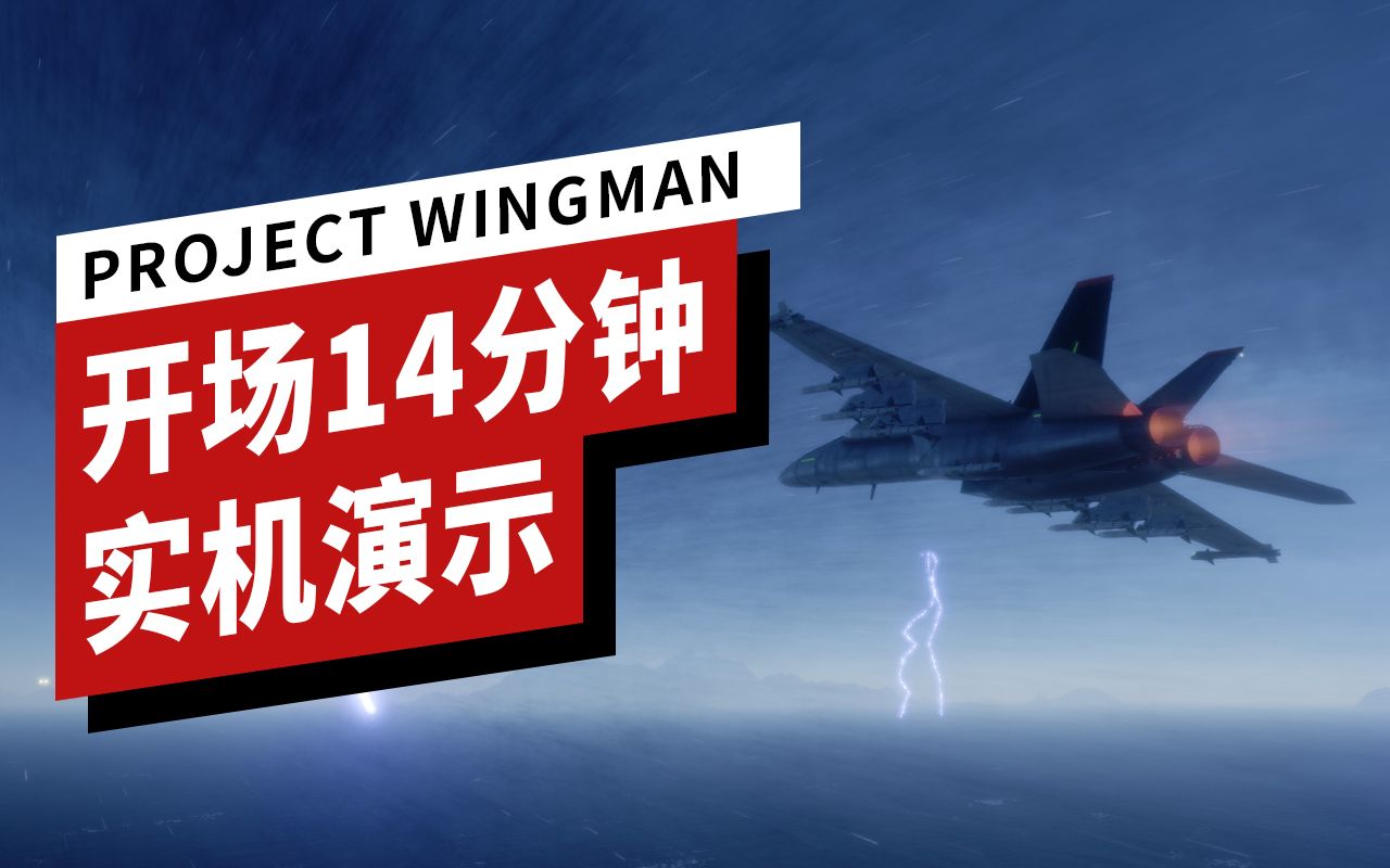 【IGN】《Project Wingman》开场14分钟实机演示_哔哩哔哩_bilibili