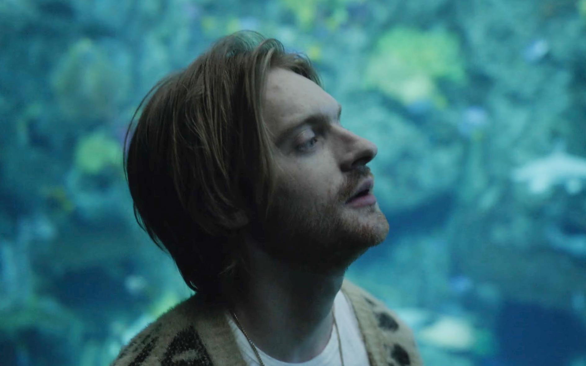 【官方MV】FINNEAS - Only A Lifetime_哔哩哔哩_bilibili