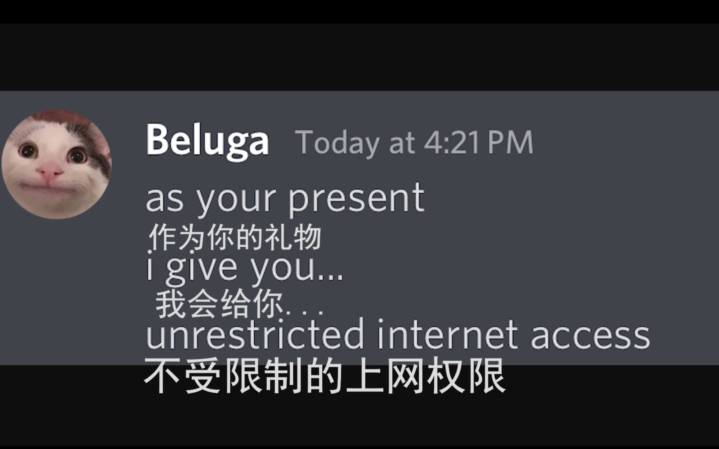 [Beluga和他的小伙伴] 成年猫该做点什么捏？-Beluga官方字幕组-Beluga官方字幕组-哔哩哔哩视频