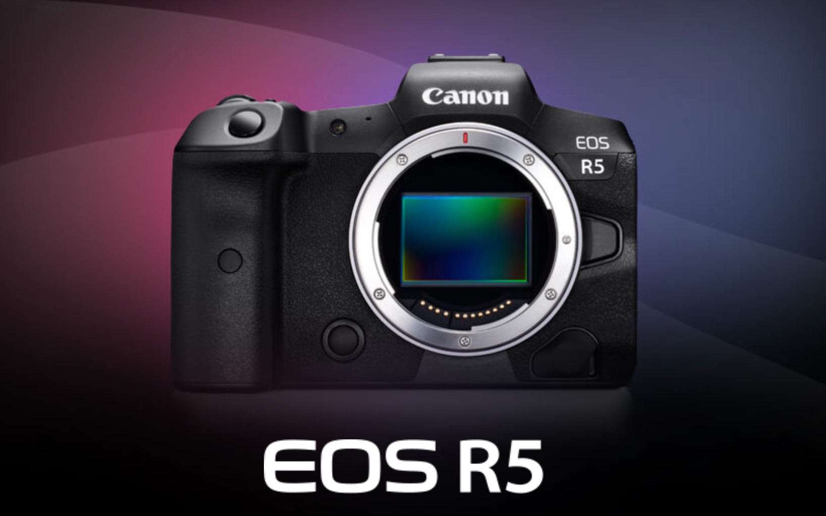 「学杂会」佳能EOS R5开箱及初步体验~真金白银，真香。_哔哩哔哩_bilibili