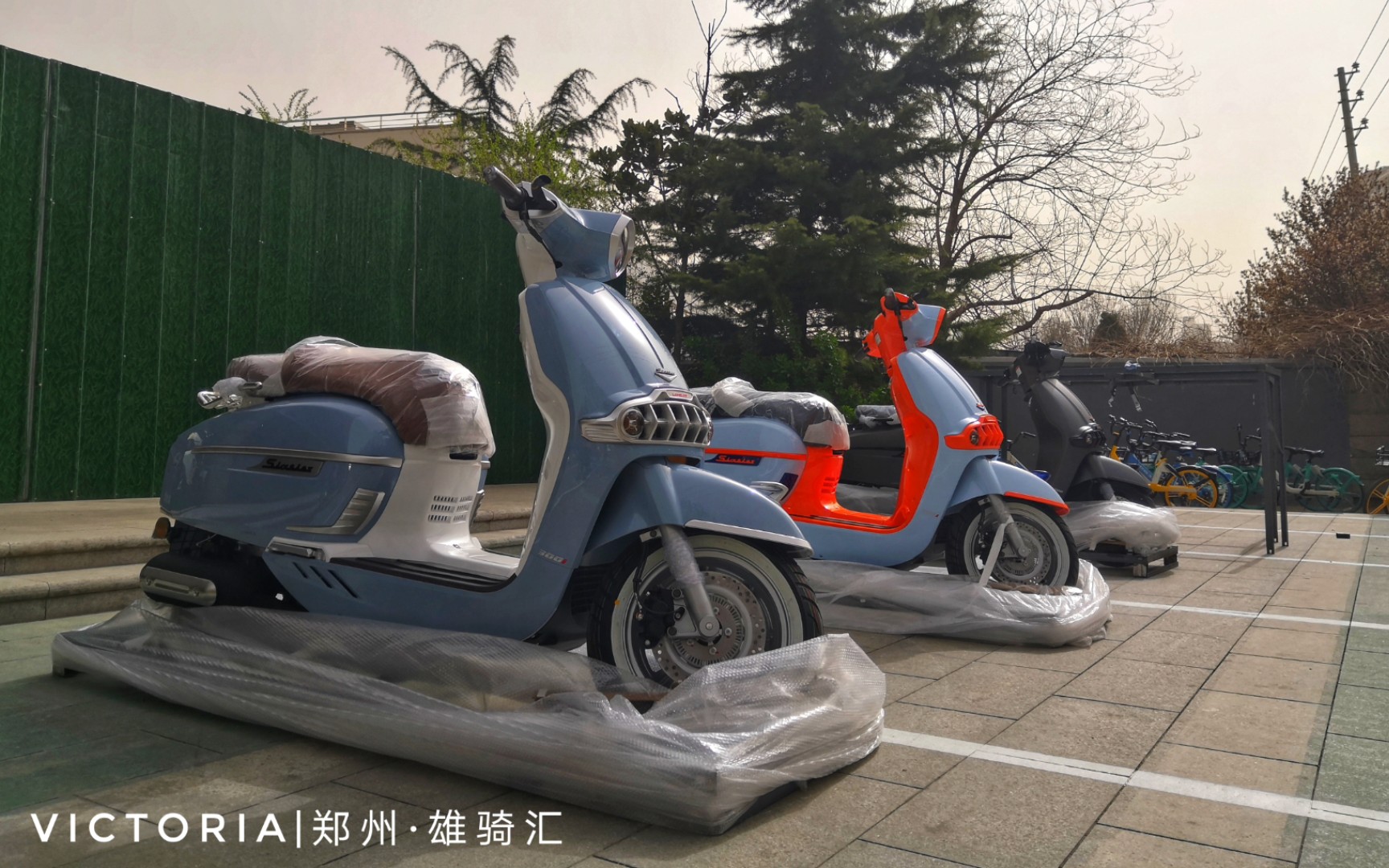 维多利亚300 拆车+外观展示VICTORIA Sixties 300_哔哩哔哩 (゜-゜)つロ 干杯~-bilibili