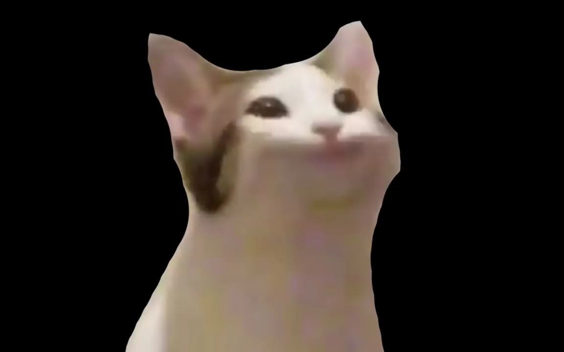 【猫】 Popo cat &JAM Cat_哔哩哔哩_bilibili