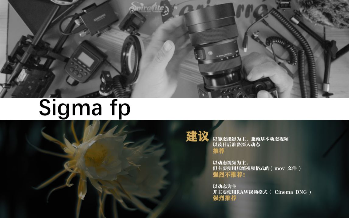 Sigma fp 半年来使用心得、用户建议【评测】_哔哩哔哩_bilibili