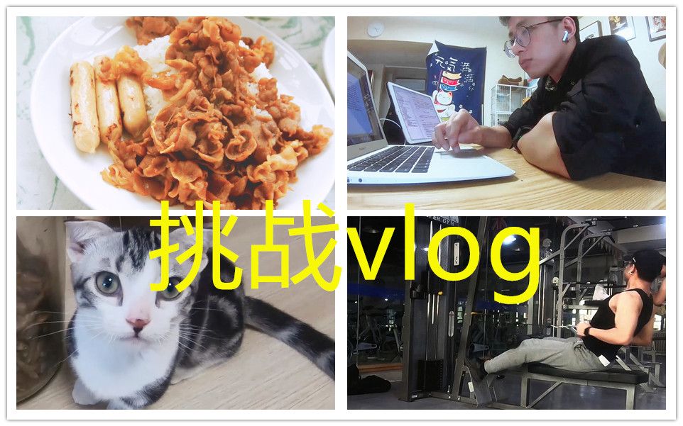 【有猫慎入！】挑战vlog02：减肥10斤丨健身丨美食丨学习_哔哩哔哩_bilibili