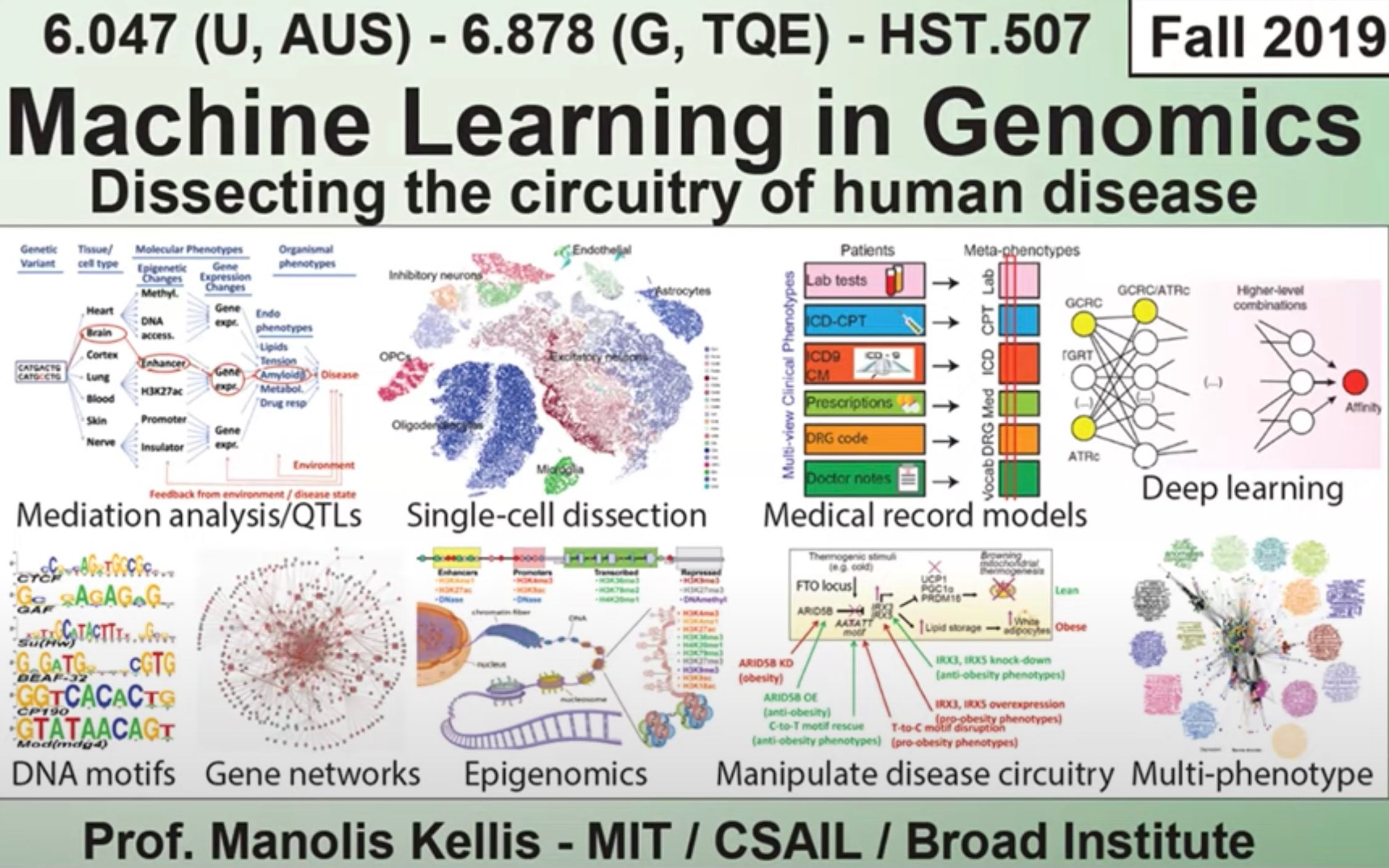 MIT《基因组学机器学习》课程(2020) by Manolis Kellis_哔哩哔哩_bilibili