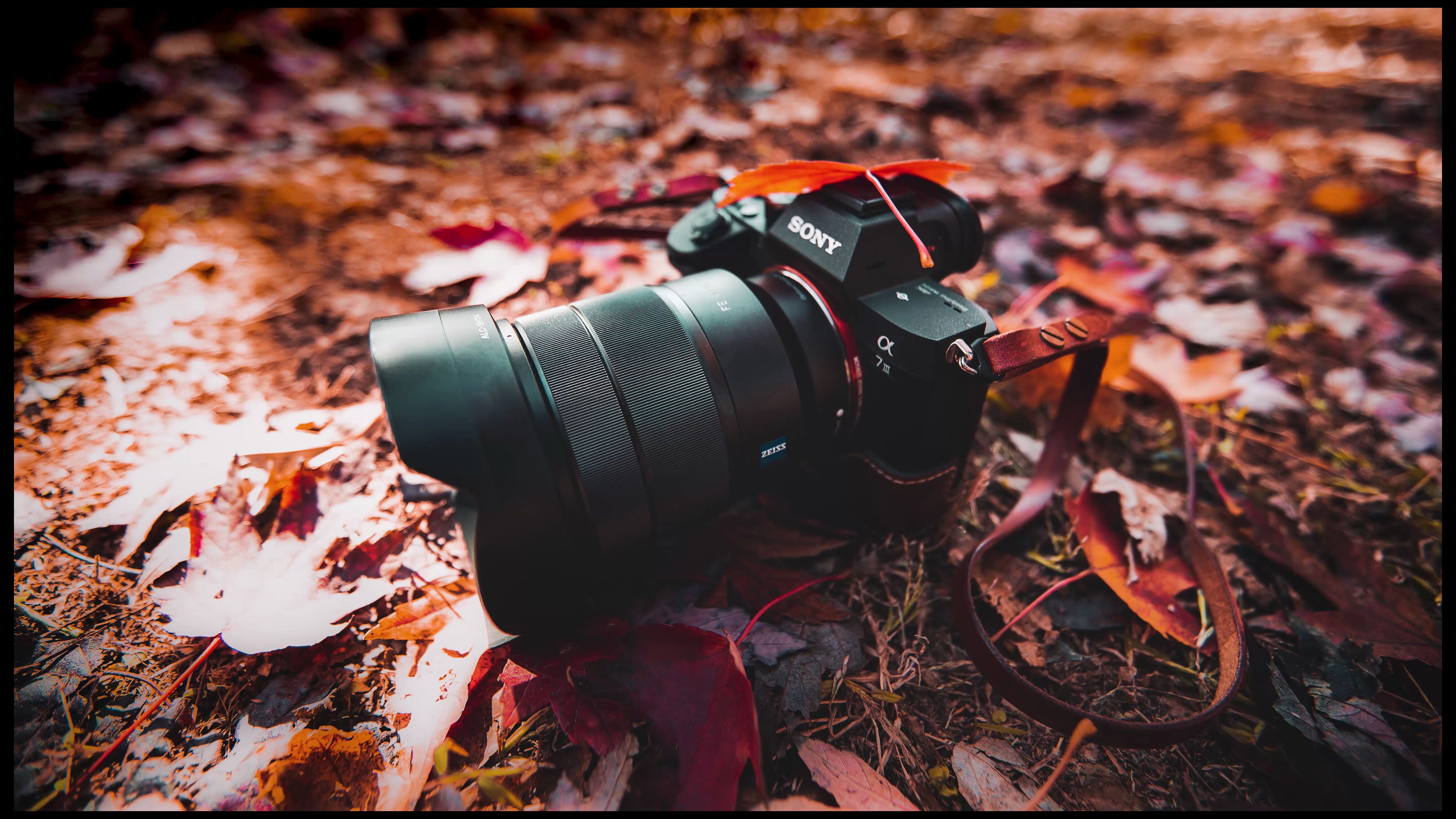 A7M3入手快三年了，我都拍了哪些照片_哔哩哔哩_bilibili