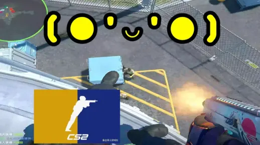 聪明机智小女孩的CS2游戏日常_哔哩哔哩bilibili