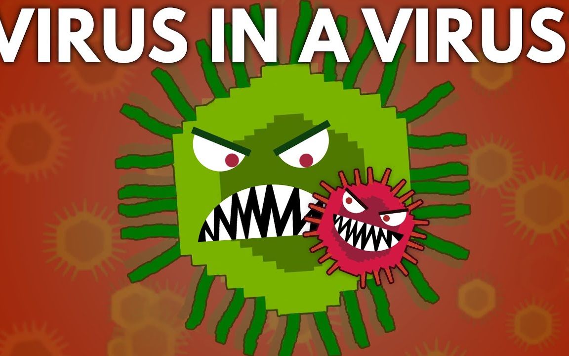 病毒能感染病毒吗？_哔哩哔哩_bilibili