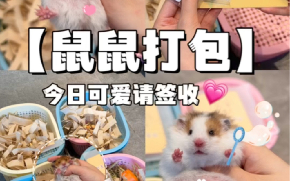 【8K画质收藏向】天气之子 插曲 现场版 《グランドエスケープ 》（Grand Escape）-MiyeonZhaooooo-默认收藏夹-哔哩哔哩视频