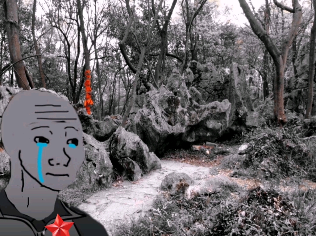 【Doomer】你和你的同志都有崇高的理想，但他先走一步…_哔哩哔哩_bilibili