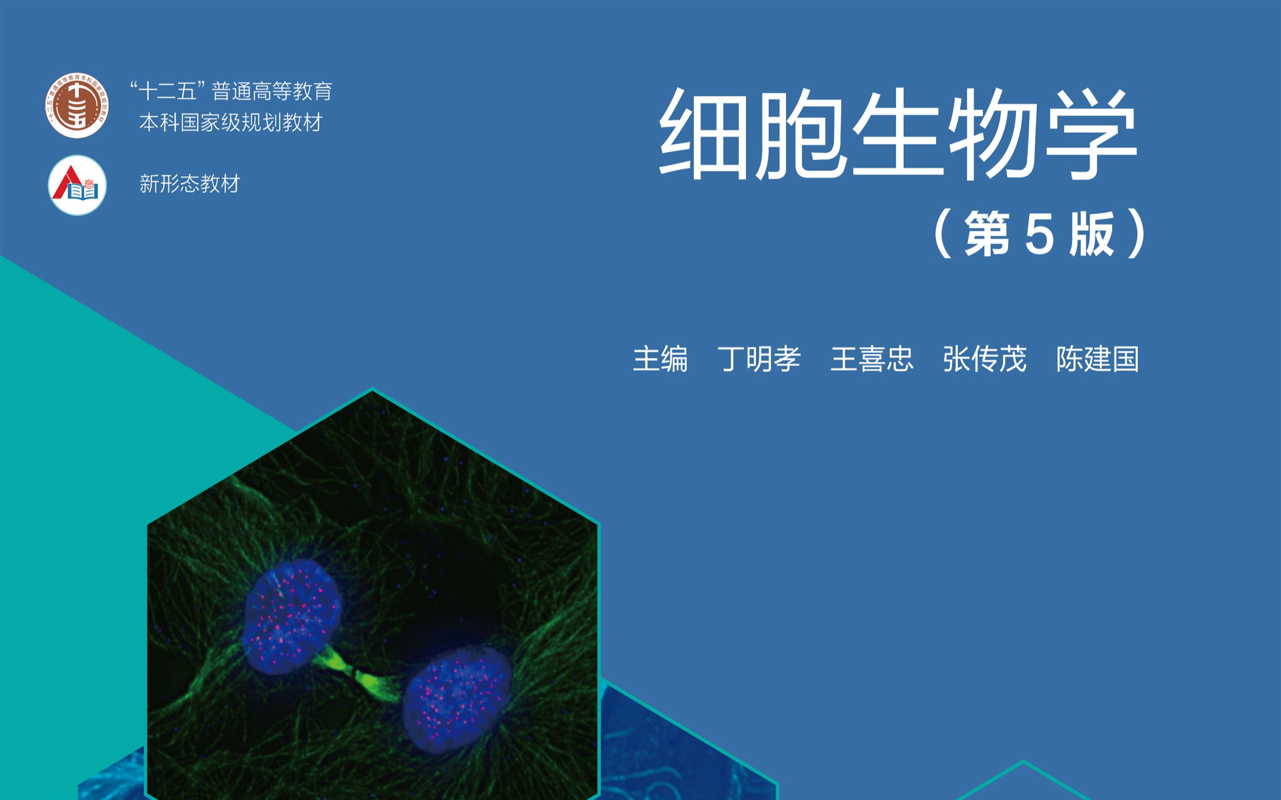 【growingannanas】20分钟无重复哑铃手臂＋肩部紧致训练-星星一行-默认收藏夹-哔哩哔哩视频