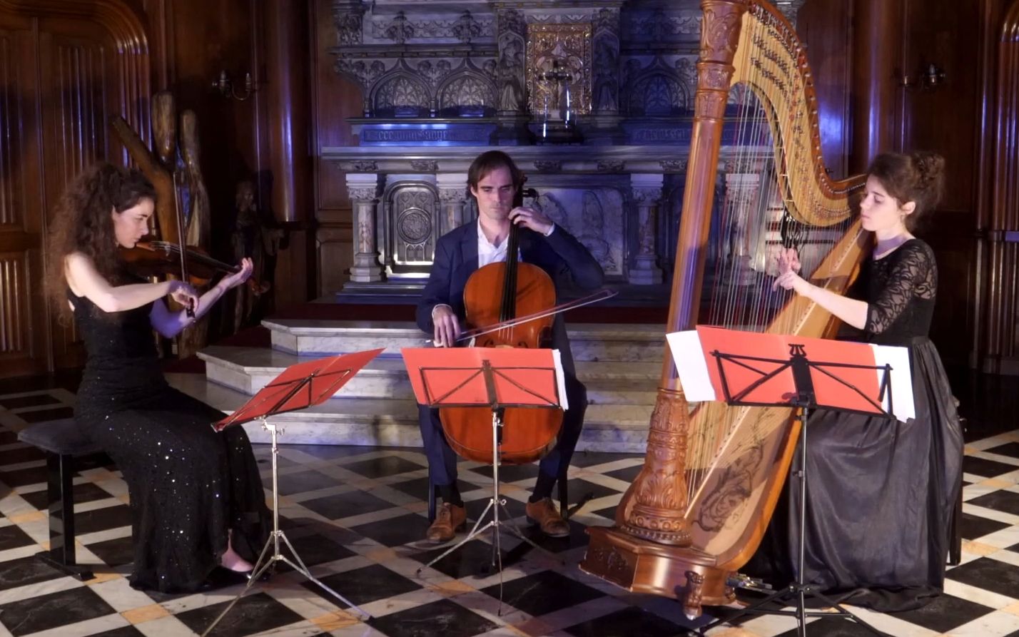 【竖琴·提琴】三重奏斯卡布罗集市《Scarborough Fair》经典民谣-竖琴家赫露-竖琴家赫露-哔哩哔哩视频