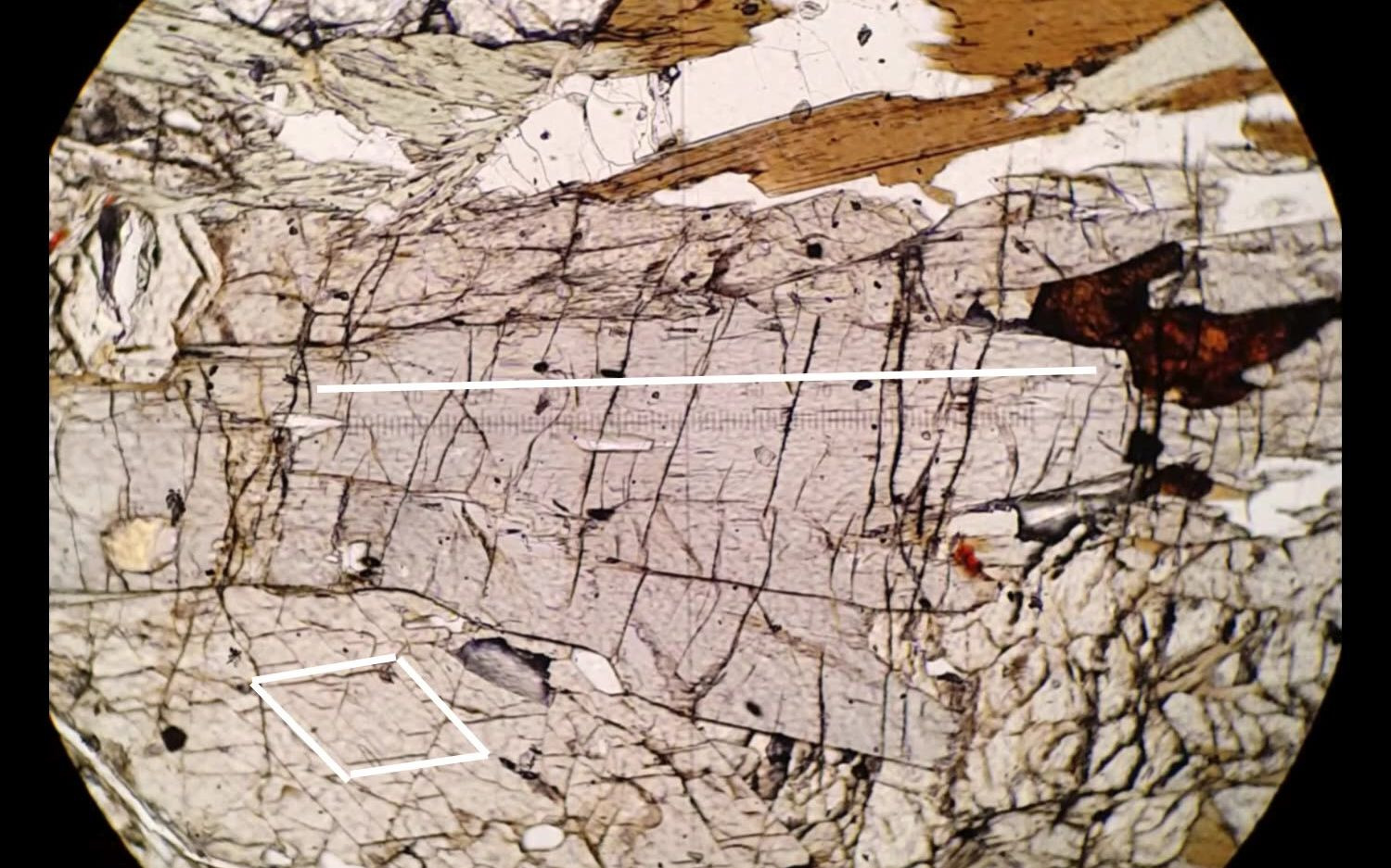 Anthophyllite Thin Section