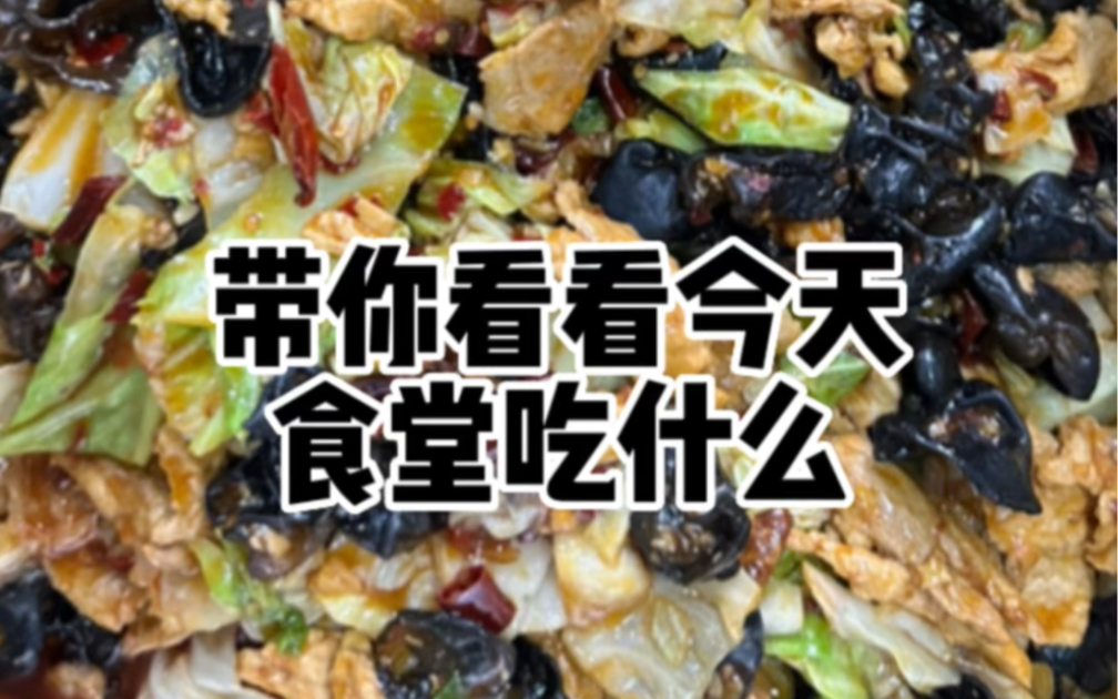 放假回来干饭-小蘑菇美食-小蘑菇美食-哔哩哔哩视频