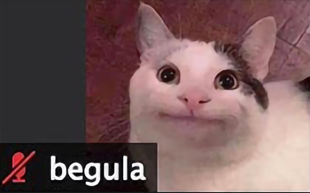 Beluga和小伙伴们的头像 - 哔哩哔哩