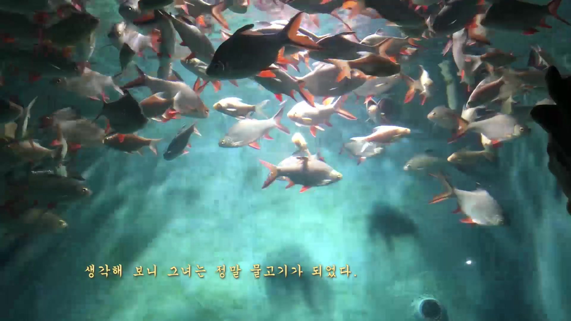 drama homework_哔哩哔哩_bilibili