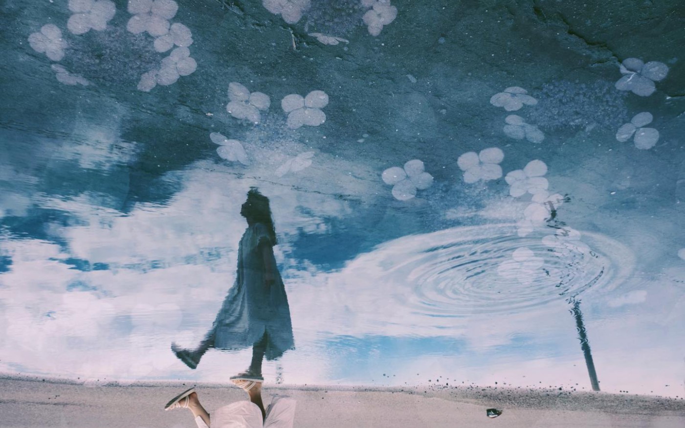 审美提升丨被遗忘的幻影世界丨日本摄影师miyuma-偶尔拍照的Ares-偶尔拍照的Ares-哔哩哔哩视频