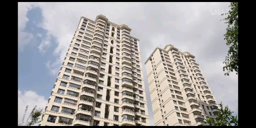 干儿子_哔哩哔哩_bilibili