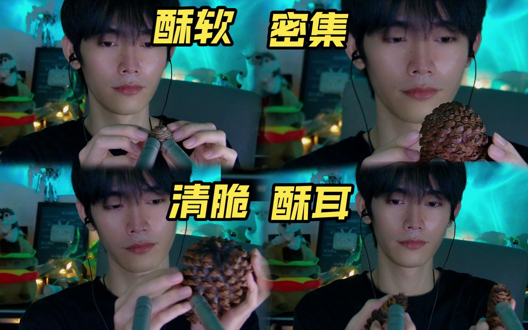 四种松果的触发音 极致享受 机长定制-anshen安身-anshen安身-哔哩哔哩视频