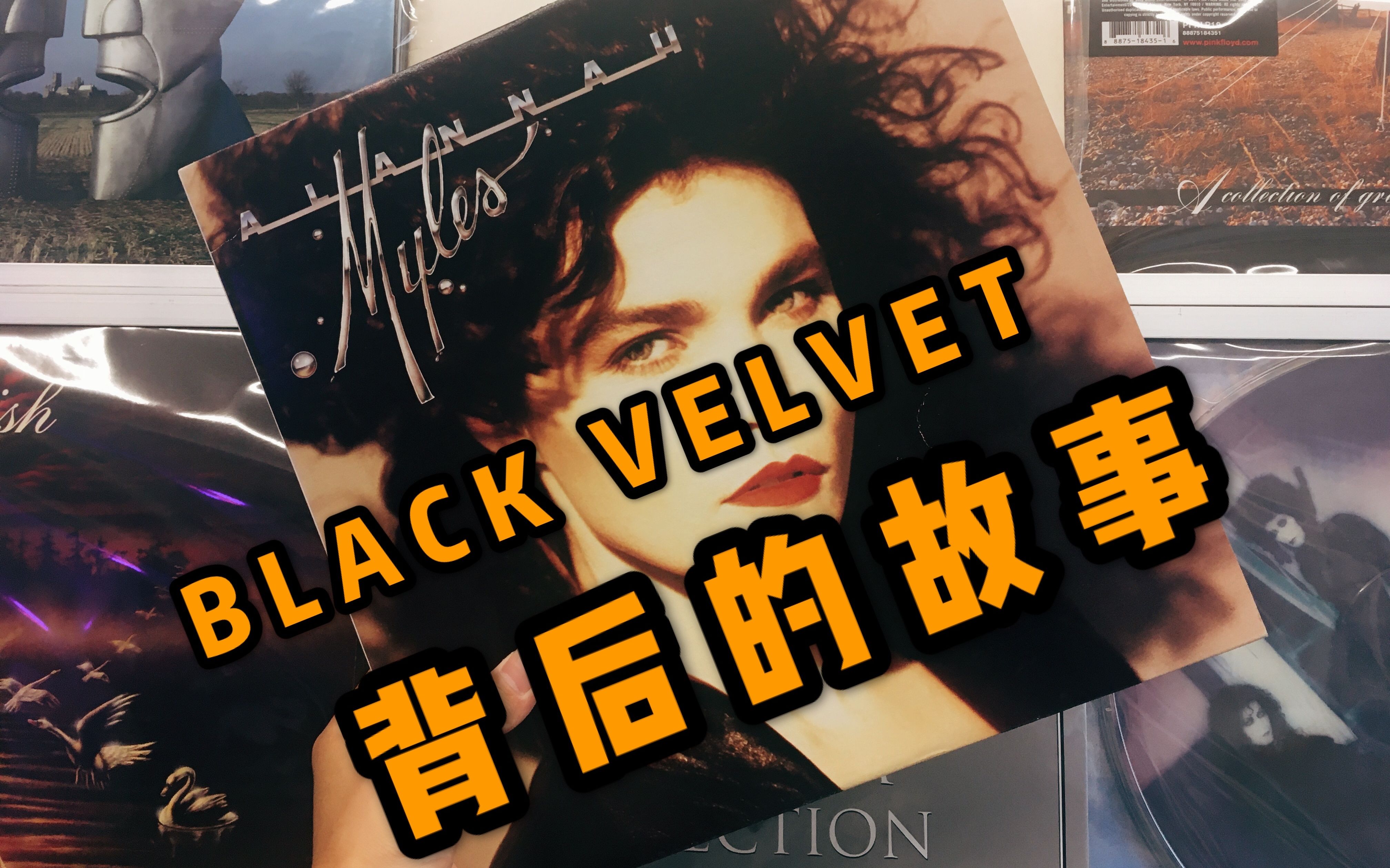 聊聊摇滚女歌手Alannah Myles《Black Velvet》背后的故事/黑胶高音质欣赏_哔哩哔哩_bilibili