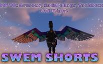 【个人翻译】马术mod SWEM - Forge主页介绍（V1） - 哔哩哔哩